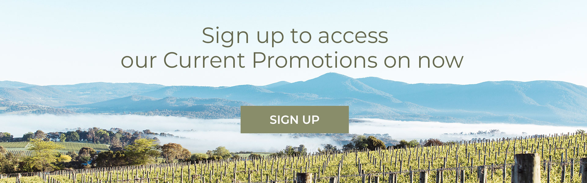 An Icon Of The Yarra Valley - Coldstream Hills